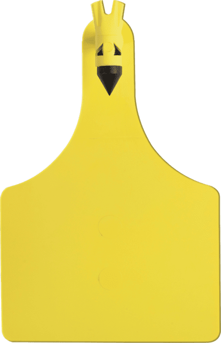 Allflex Cattle Visual Tag - A-Tag Maxi - FarmShop Australia
