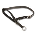 Cow Halters - FarmShop Australia